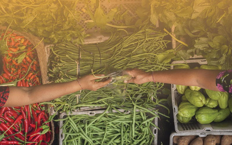 Musim Kenaikan Harga Tiba Lebih Awal - Datanesia