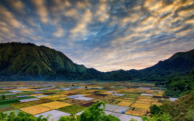 Sektor Potensial di NTB - Datanesia